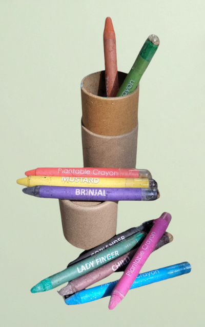 Plantable Seed Crayons (Set of 10) — EcoKaari™ - Humanising Fashion