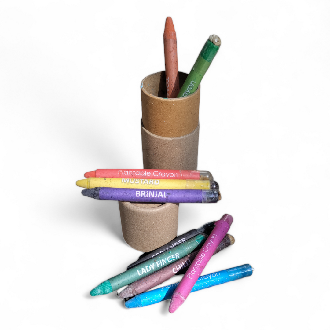 Plantable Seed Crayons (Set of 10) — EcoKaari™ - Humanising Fashion